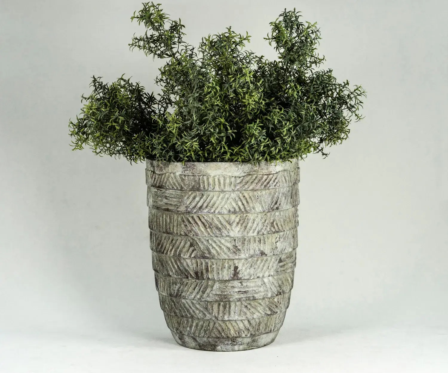 ¿En qué macetas crecen mejor las plantas?