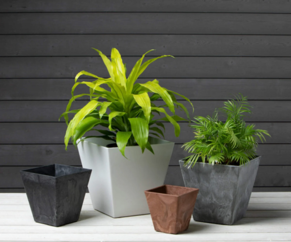 植木鉢は四角と丸のどちらが良いのか？